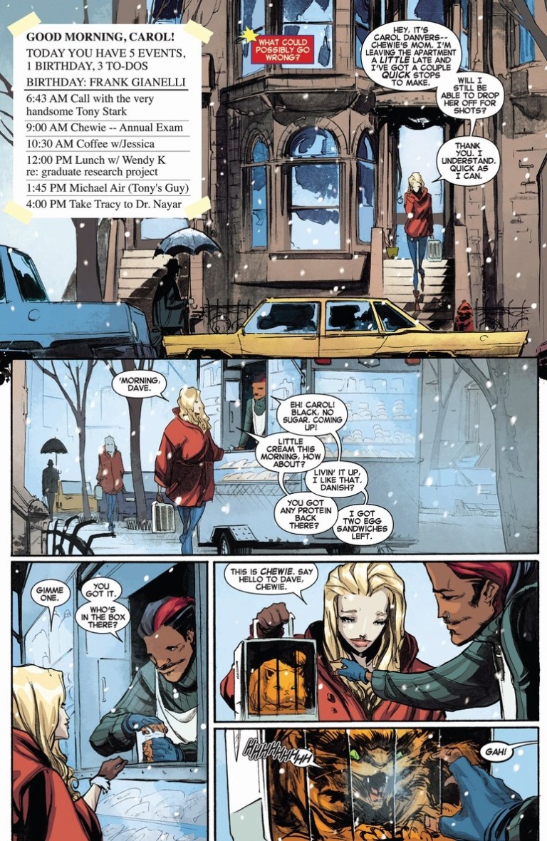 Ms. Marvel’s cat Chewie | Arousing Grammar