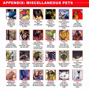 Ms. Marvel’s cat Chewie | Arousing Grammar