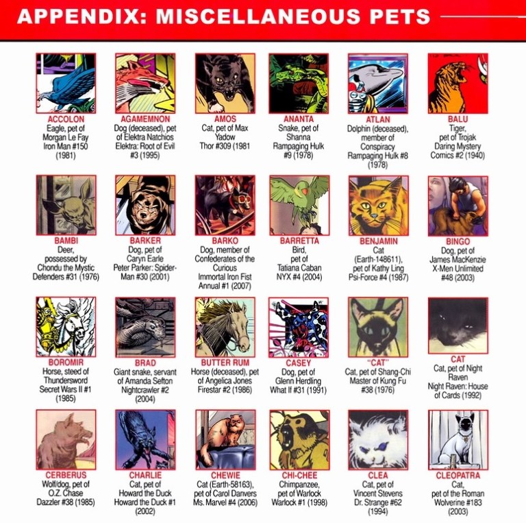 Ms. Marvel’s cat Chewie | Arousing Grammar